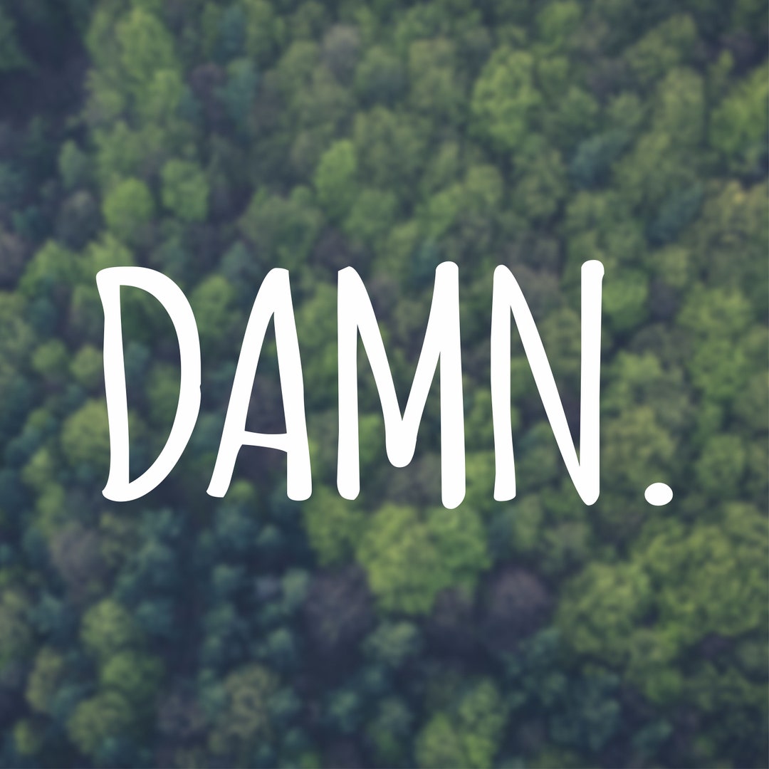 Damn Decal - Funny Laptop, Car, or Tumbler Sticker - Etsy