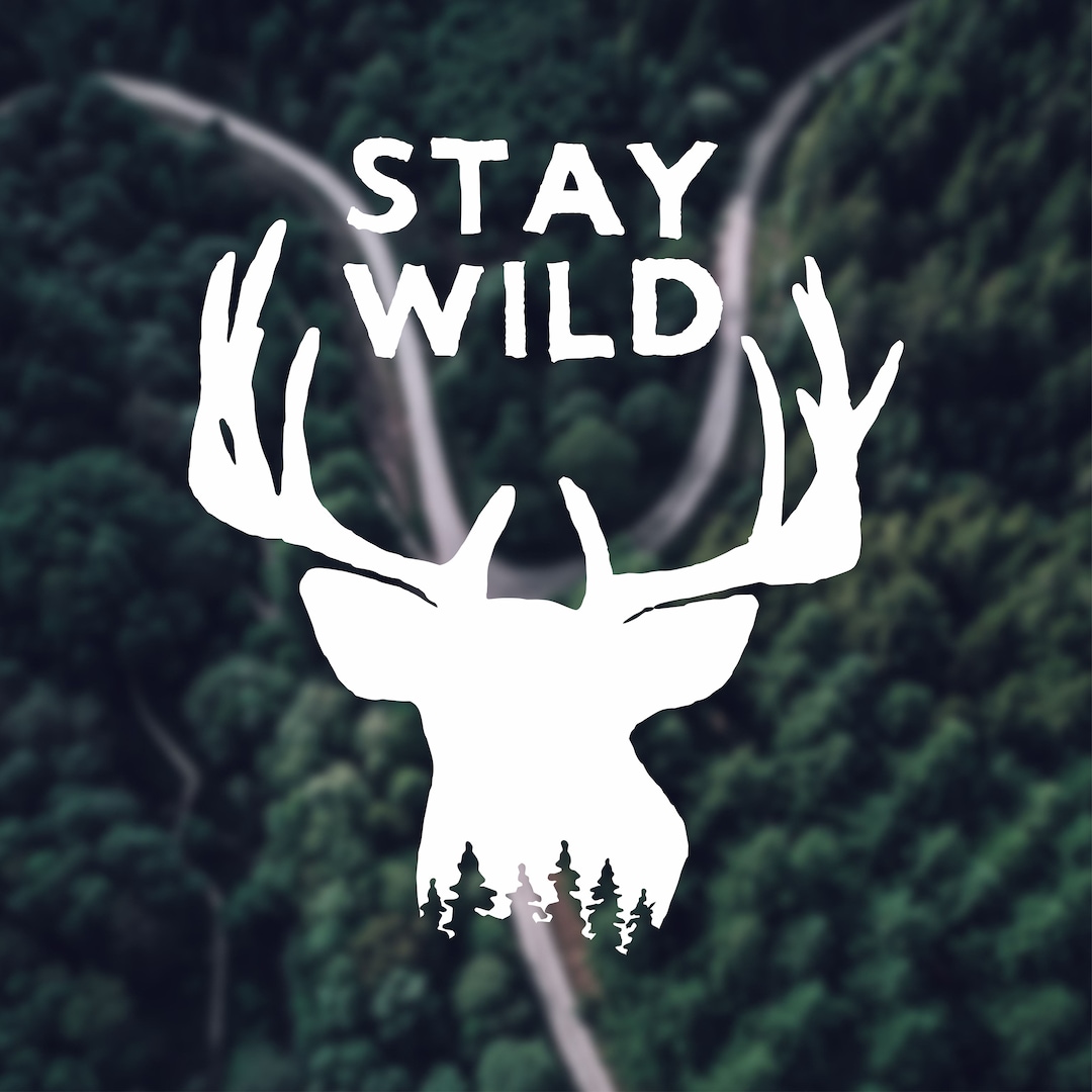 Stay Wild Decal Sticker Stay Wild Decal Car Decal Laptop Decal MacBook ...