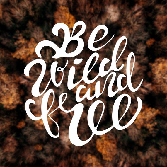 Be Wild and Free Decal Sticker Vinyl Car Decal Explore Decal | Etsy