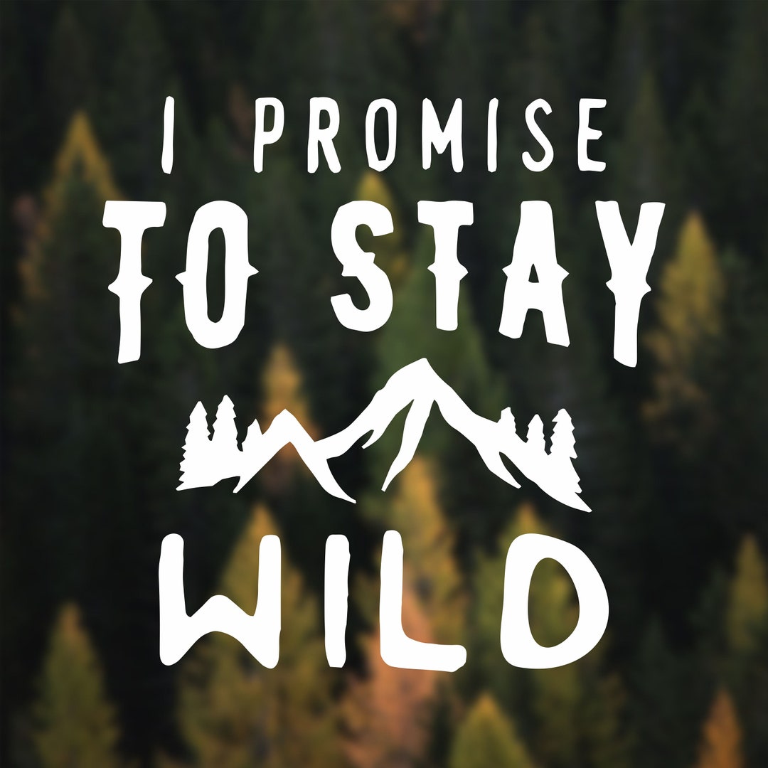 I Promise to Stay Wild Decal Sticker Stay Wild Decal Car Decal Laptop ...