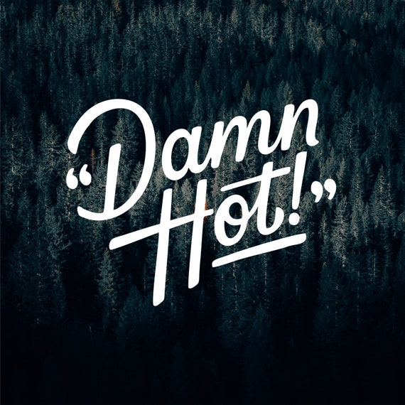 Damn Hot Sticker Damn Hot Decal Funny Stickers Laptop | Etsy