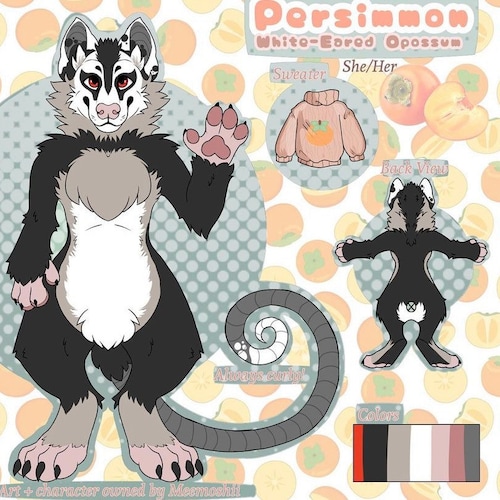 Custom Furry Base Anthro and Feral Reference Sheet Art - Etsy