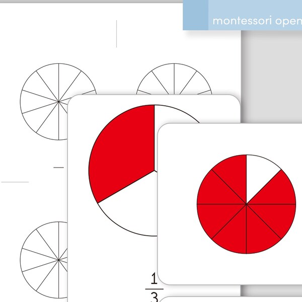 Montessori 3 Part Cards Parts of the Eastern Box Turtle - Etsy
