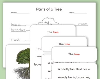 Montessori 3 Part Cards and Definition Cards Parts of the Leaf - Etsy
