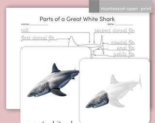 montessoriopenprint - Etsy