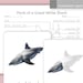 Montessori 3 Part Cards Parts of a Great White Shark - Etsy