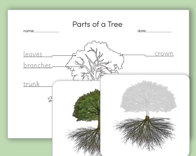 montessoriopenprint - Etsy