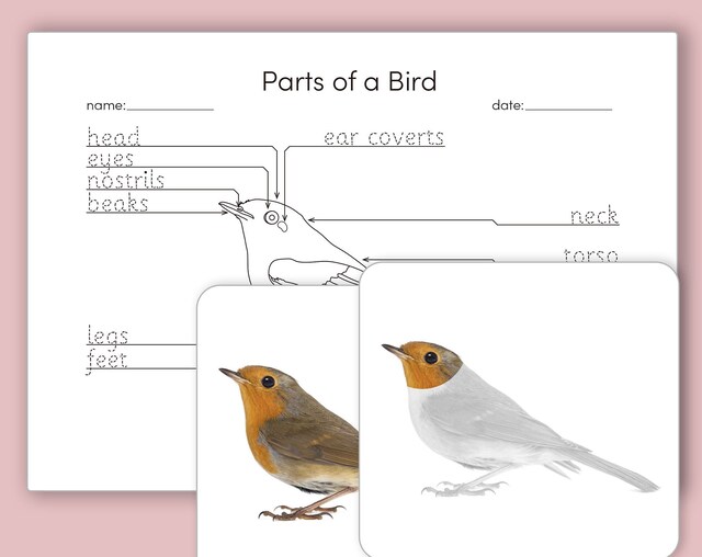 montessoriopenprint - Etsy