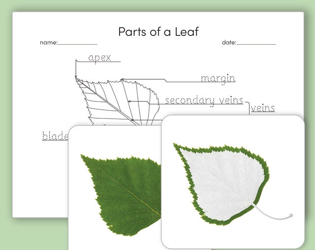 montessoriopenprint - Etsy