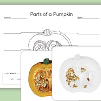 Montessori 3 Part Cards Parts of the Eastern Box Turtle - Etsy