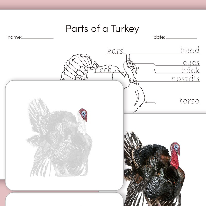 montessoriopenprint - Etsy