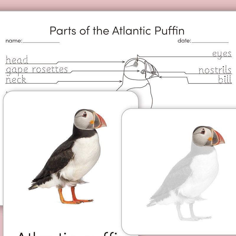 montessoriopenprint - Etsy