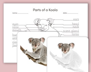 montessoriopenprint - Etsy