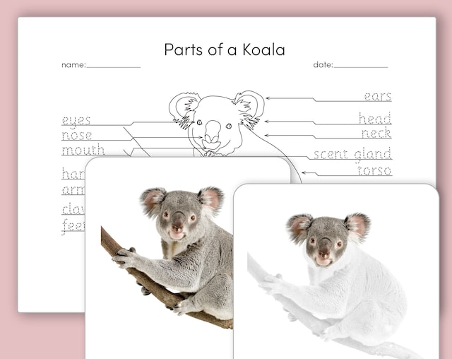 montessoriopenprint - Etsy