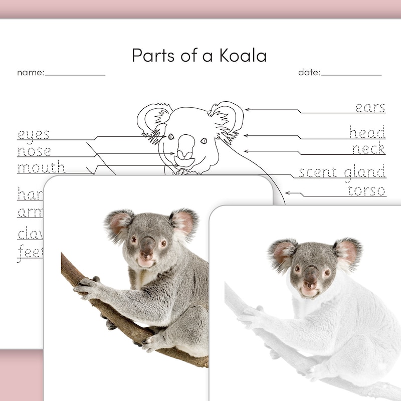 montessoriopenprint - Etsy