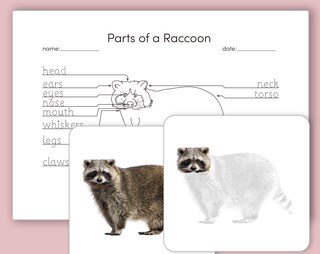 montessoriopenprint - Etsy