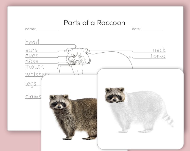 montessoriopenprint - Etsy