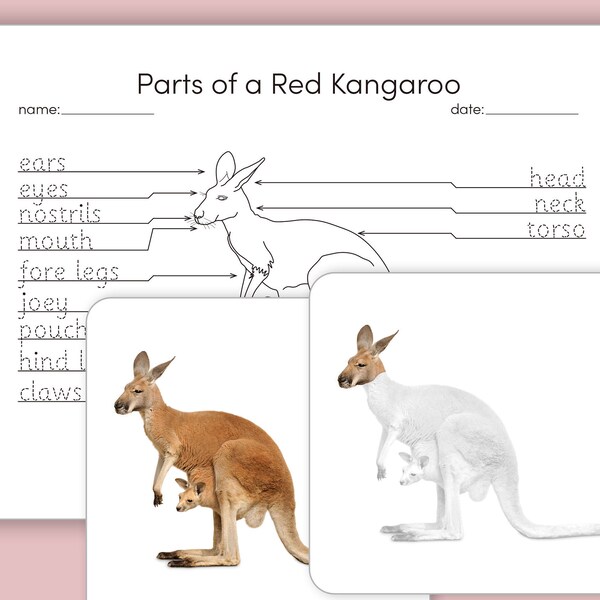 montessoriopenprint - Etsy