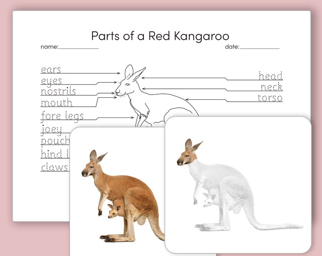 montessoriopenprint - Etsy