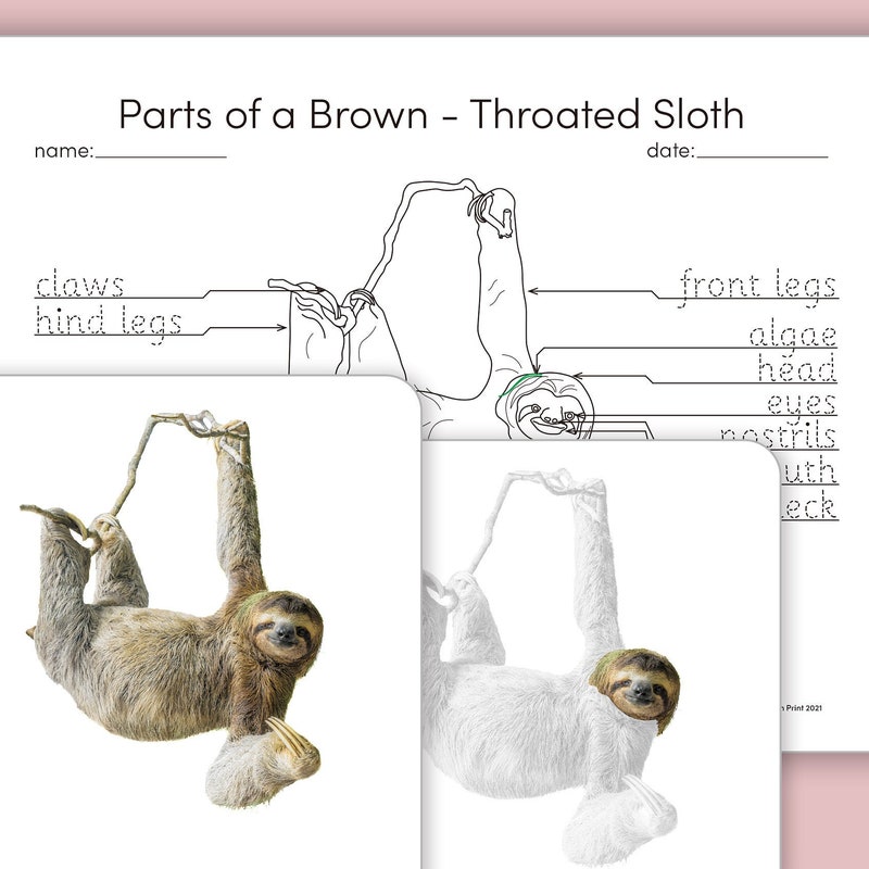 montessoriopenprint - Etsy