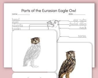 montessoriopenprint - Etsy