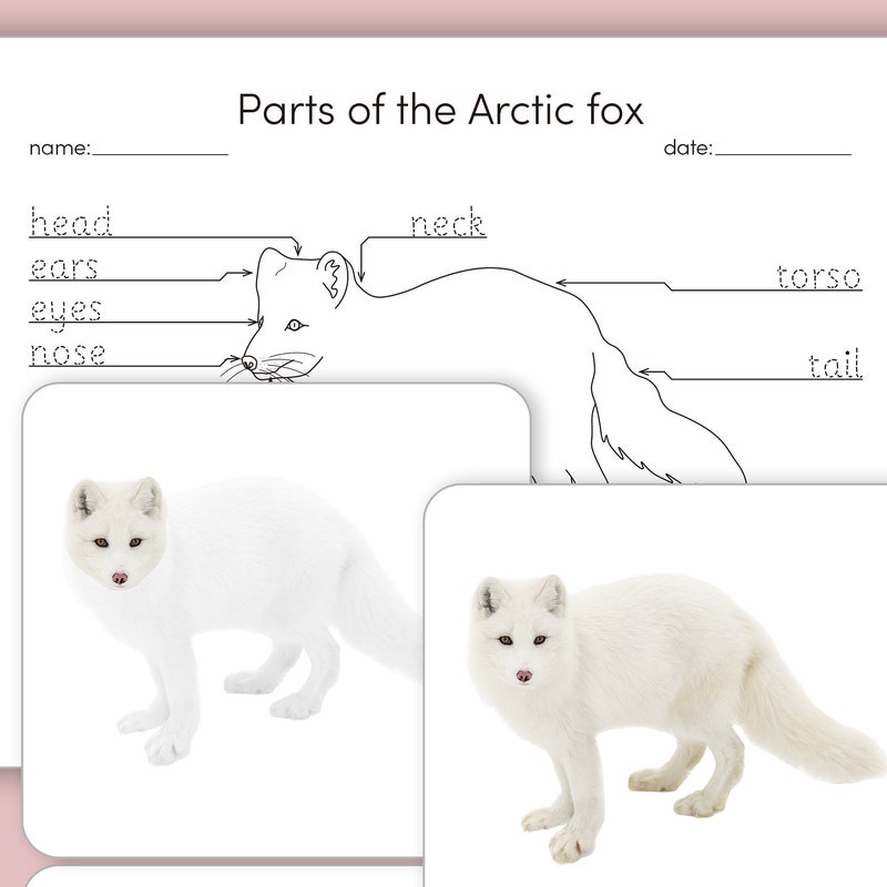 montessoriopenprint - Etsy