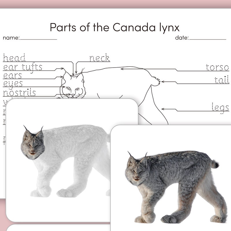 montessoriopenprint - Etsy