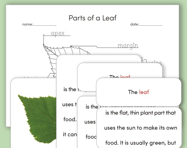 montessoriopenprint - Etsy