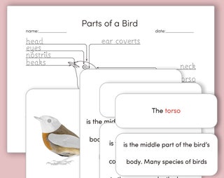 montessoriopenprint - Etsy