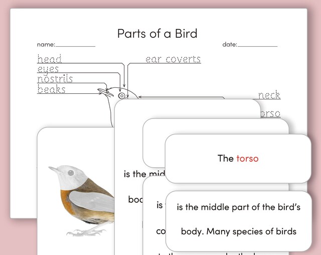 montessoriopenprint - Etsy