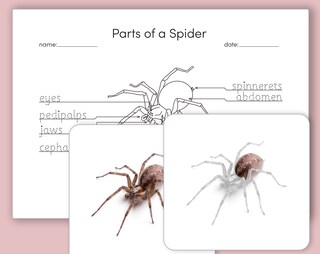 montessoriopenprint - Etsy