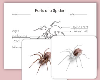 montessoriopenprint - Etsy