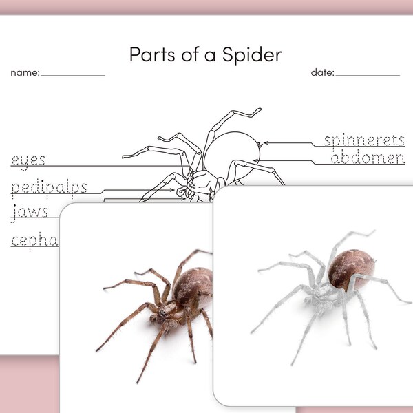 montessoriopenprint - Etsy