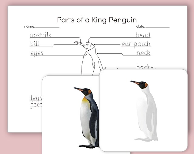 montessoriopenprint - Etsy