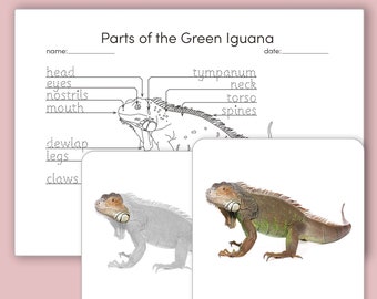 montessoriopenprint - Etsy