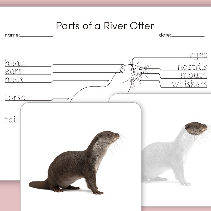 montessoriopenprint - Etsy