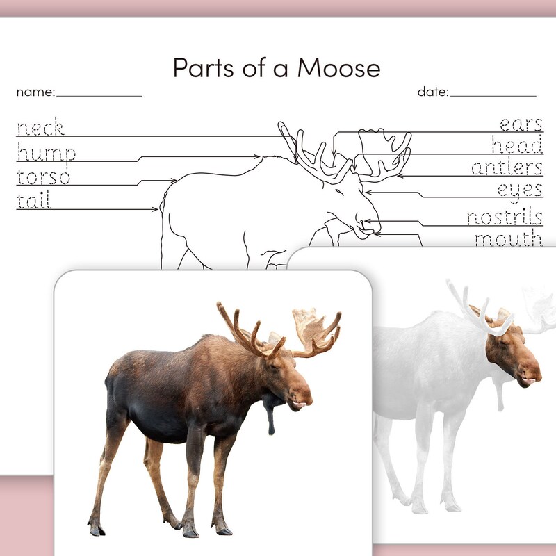 montessoriopenprint - Etsy