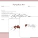 Montessori 3 Part Cards- Parts of an Ant - Etsy