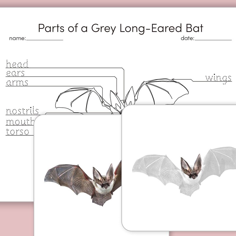 montessoriopenprint - Etsy