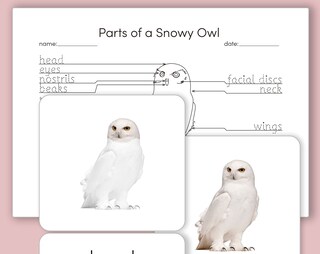 montessoriopenprint - Etsy