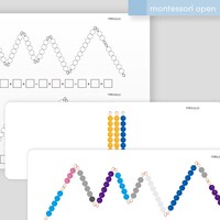 Montessori 3 Part Cards Parts of a Harbor Seal - Etsy