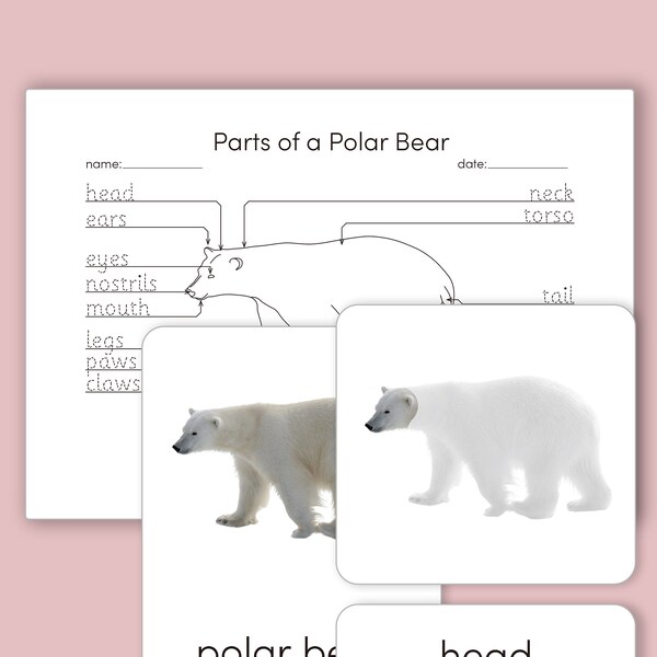 Polar Bear Art - Etsy