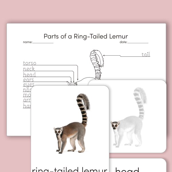 Lemur Print - Etsy