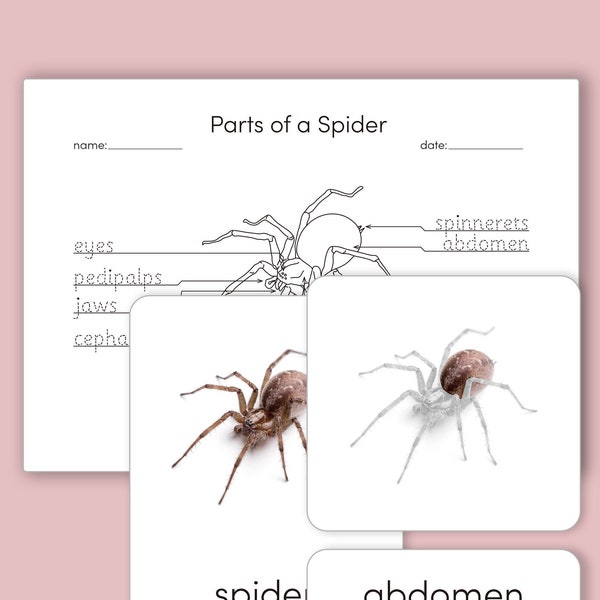 Montessori Book - Etsy