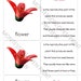 Montessori 3 Part Cards and Definitions Parts of the Dicot Flower - Etsy