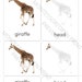 Montessori 3 Part Cards Parts of a Giraffe - Etsy