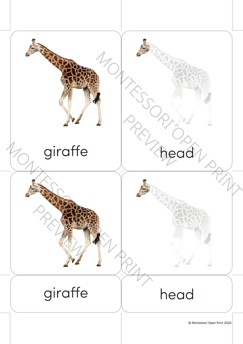 Montessori 3 Part Cards Parts of a Giraffe - Etsy