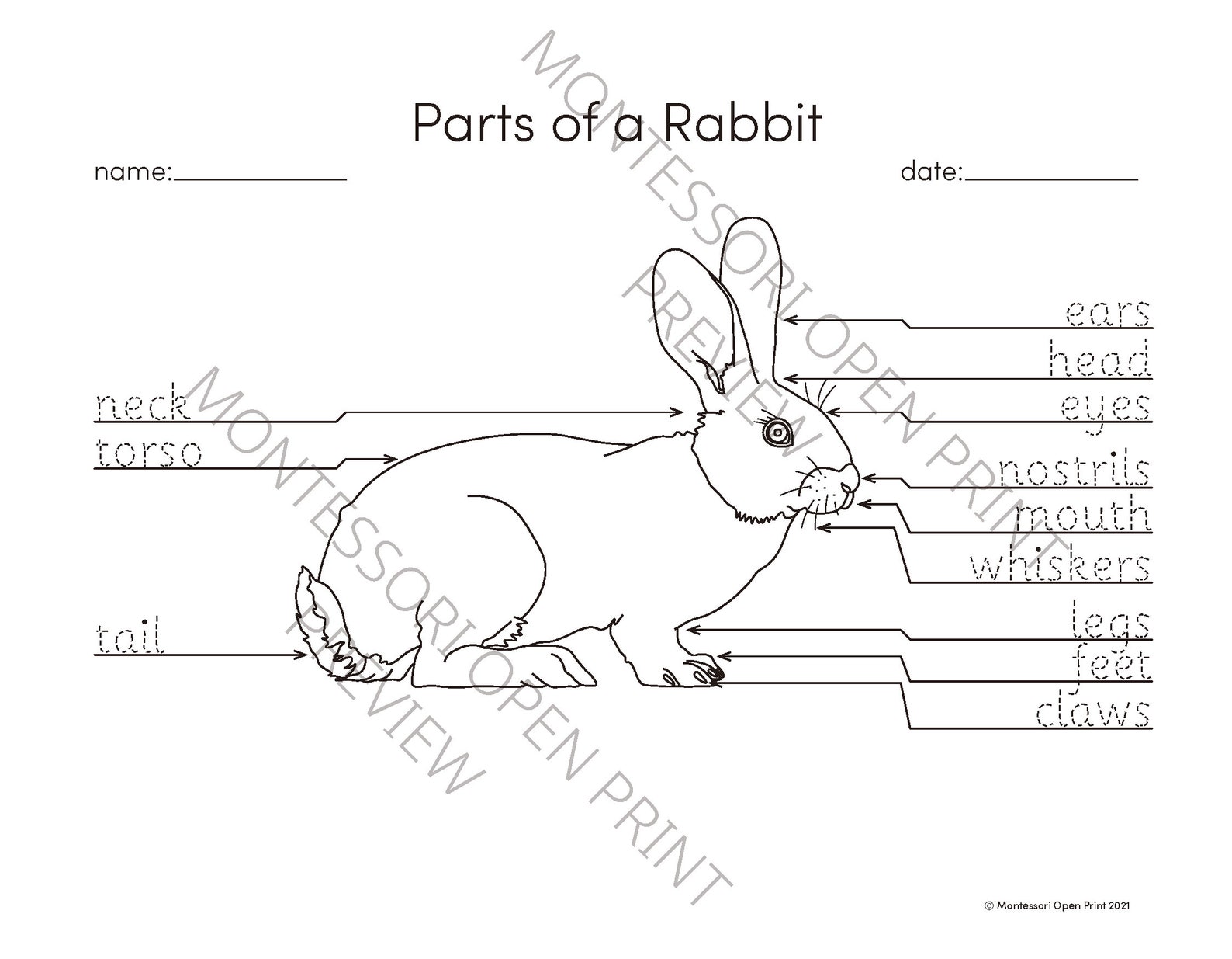 Montessori 3 Part Cards Parts of a Rabbit - Etsy
