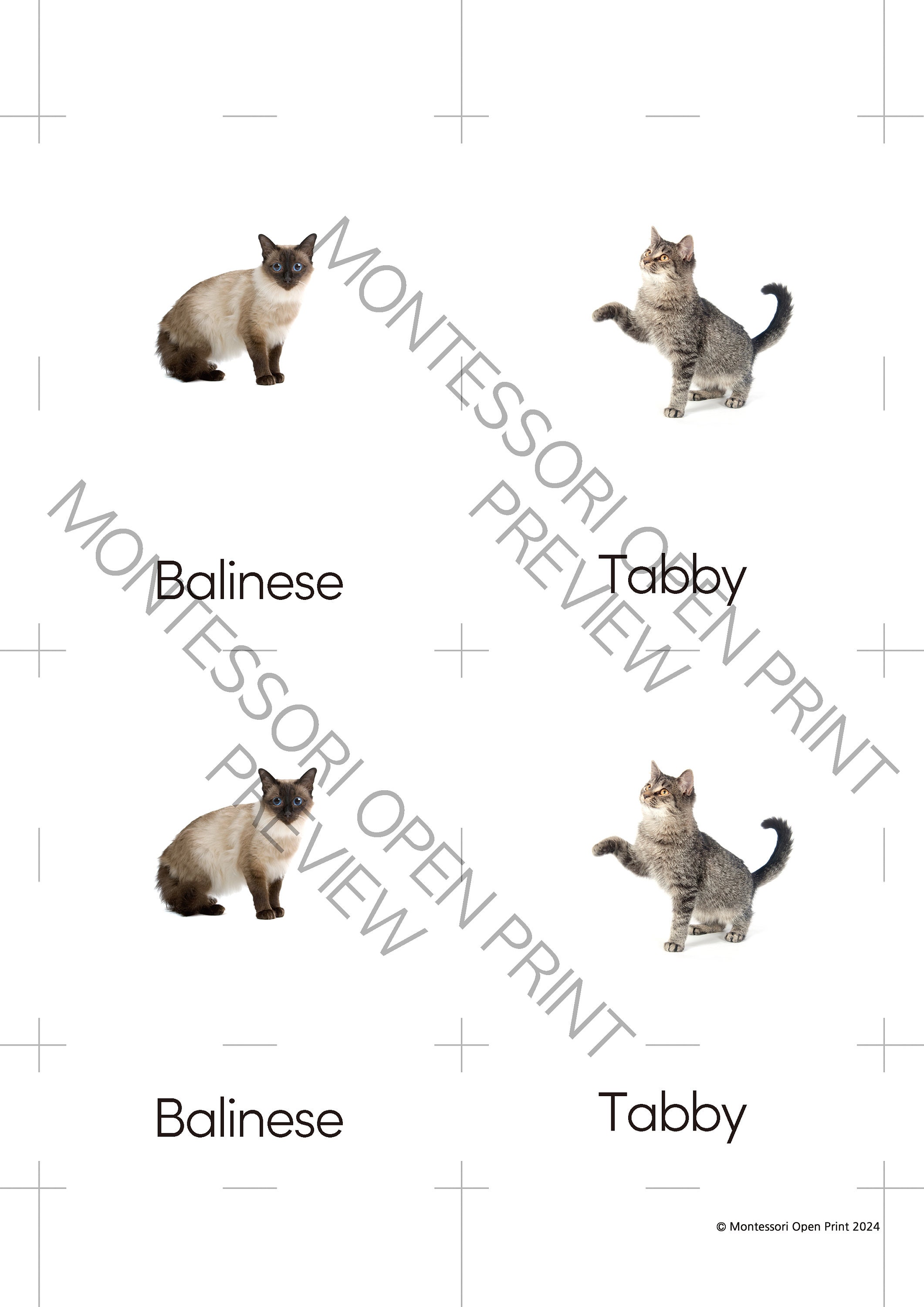 Montessori 3 Part Cards Parts of a Cat and 12 Cat Breeds - Etsy