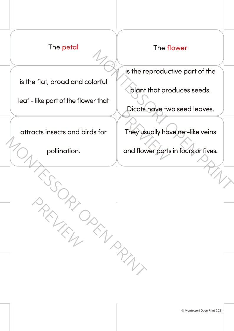 Montessori 3 Part Cards and Definitions Parts of the Dicot Flower - Etsy